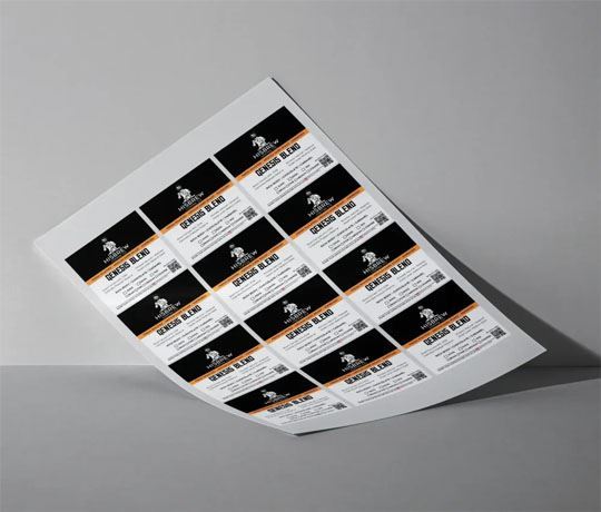 Sticker Label Printing Services | Precision & Quality for Business Needs